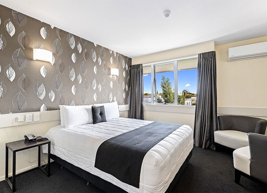 Standard Room with One Queen Bed - Hotel Elms